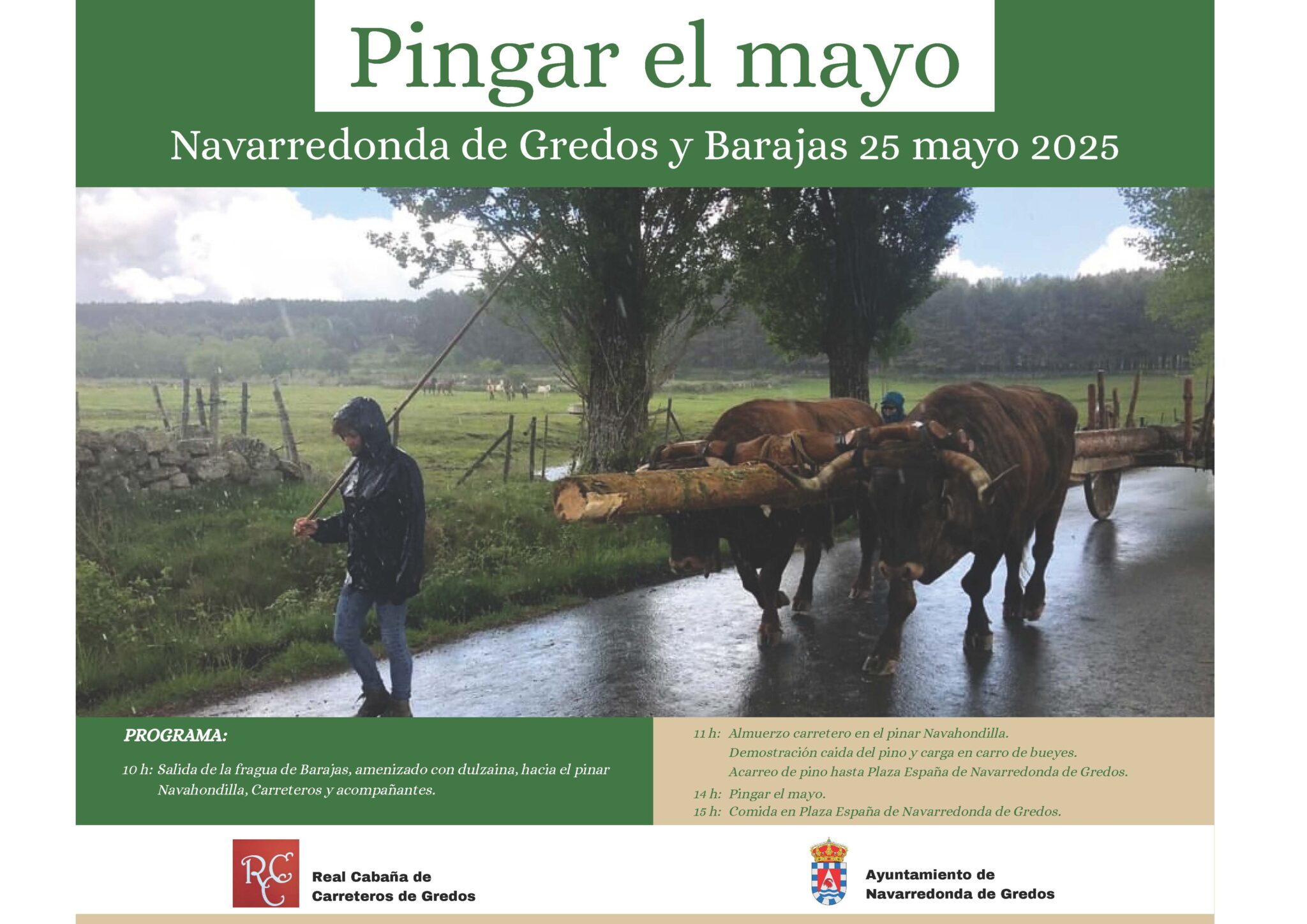 Pingar El Mayo, el 25 de mayo de 2025 - Navarredonda de Gredos – Web ...